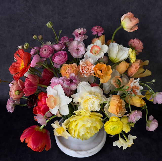 Home - HARMONY IN BLOOMS